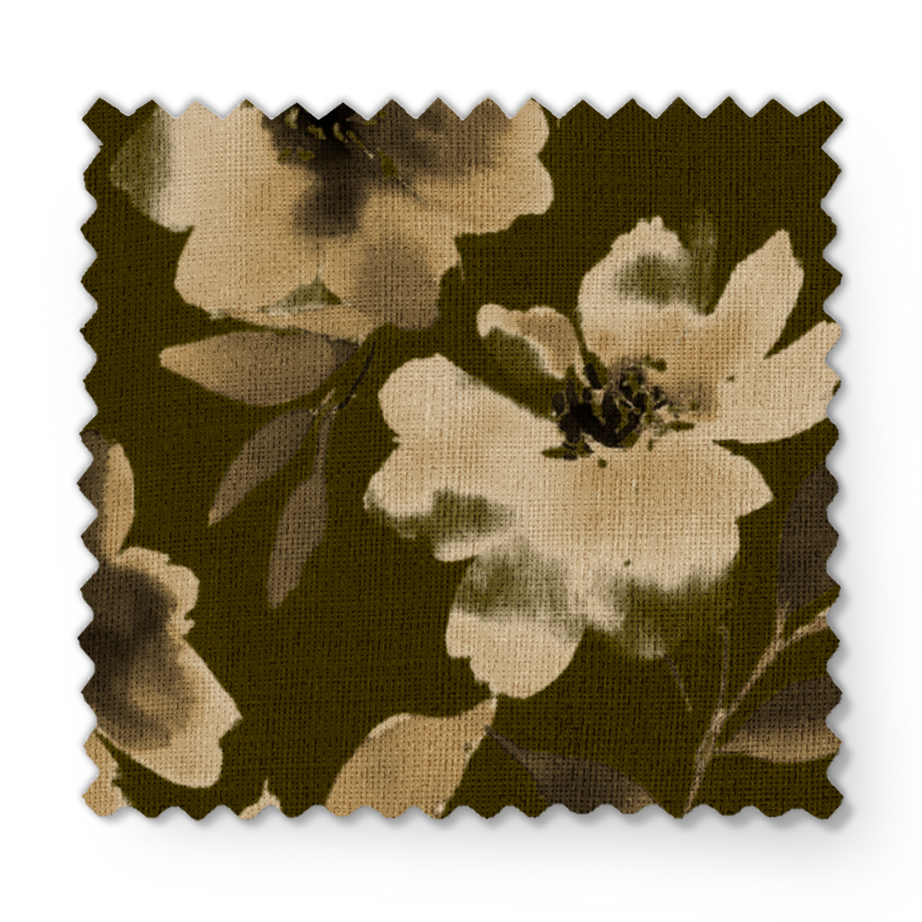 Productos – Sutex